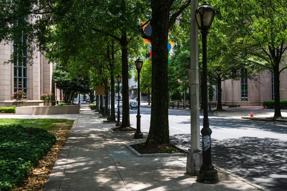 Free Stock Photo of Tranquil street lined with lush green trees ...
