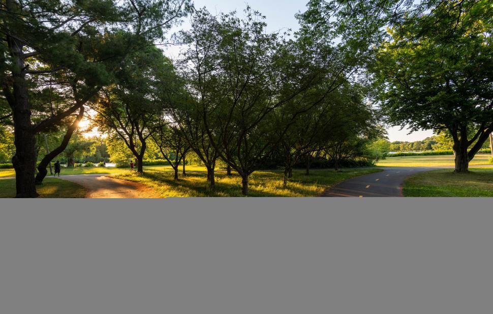 Free Stock Photo of Sunlit park path with trees casting shadows ...