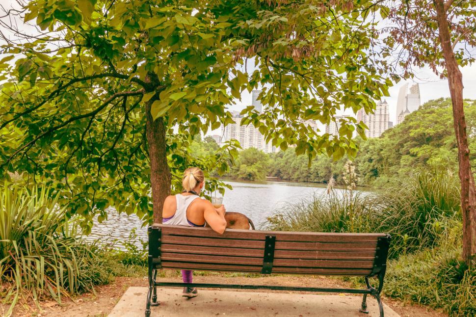 Free Stock Photo of Woman and dog enjoying peaceful park | Download ...