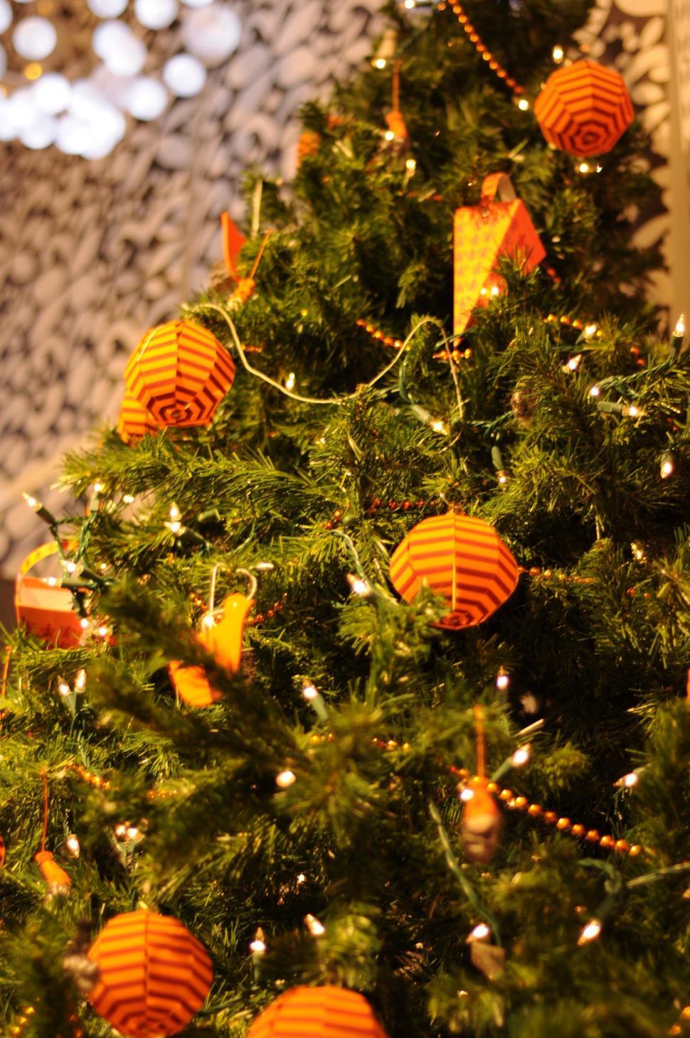 Free Stock Photo of Christmas tree | Download Free Images and Free ...