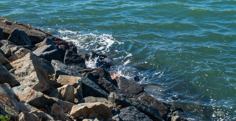 Free Stock Photo of Waves Splashing Over Seaside Rocks | Download Free ...