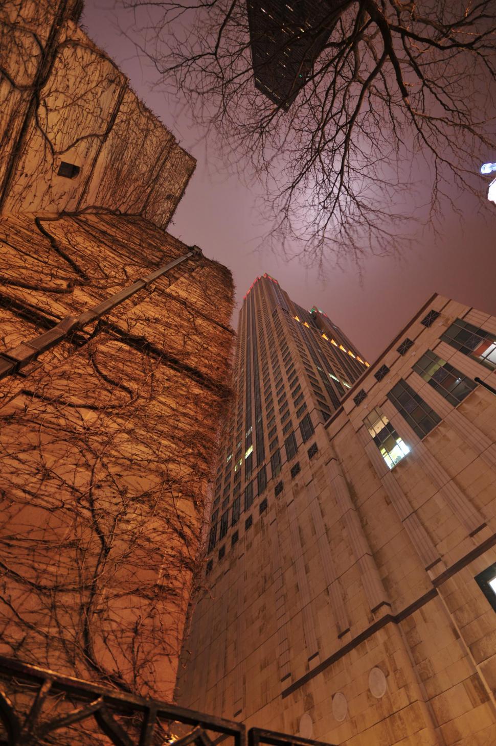 Free Stock Photo of Vine covered building | Download Free Images and ...