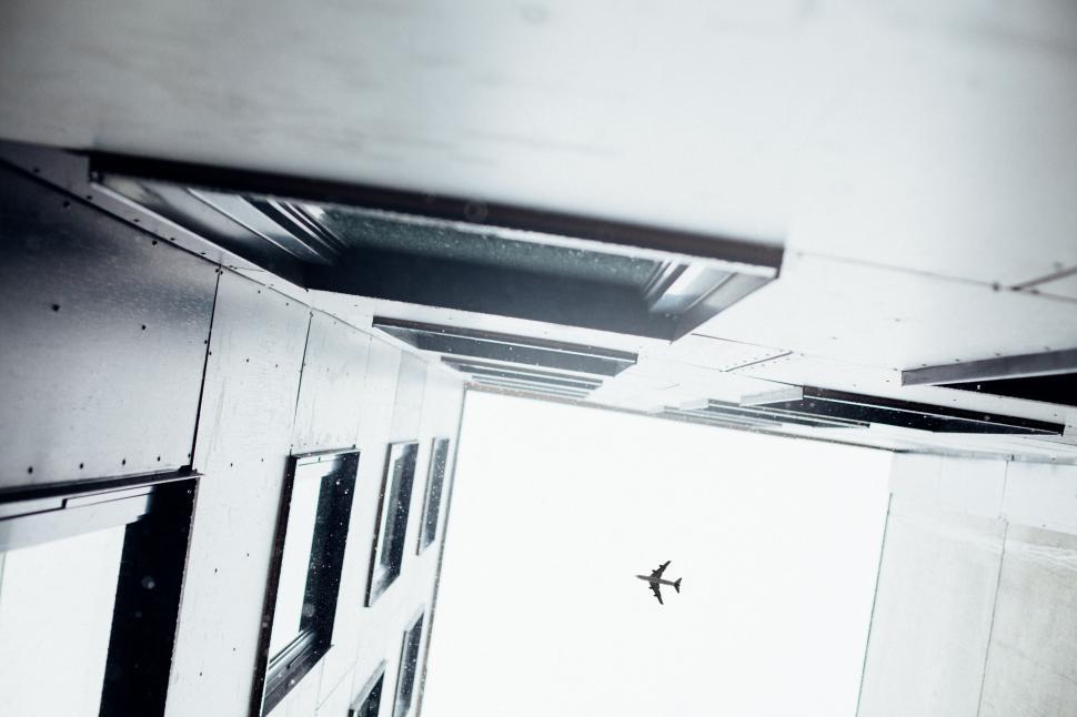 Free Stock Photo of Bird flying between high-rise buildings | Download ...