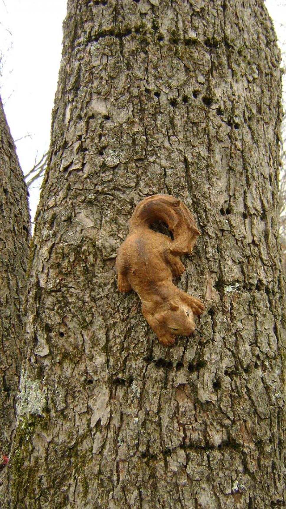 Free Stock Photo of Various yard objects | Download Free Images and ...