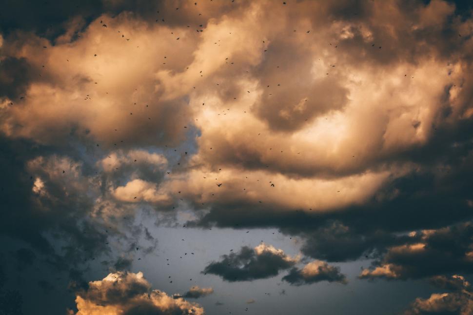 Free Stock Photo of Dramatic cloudscape with birds flying | Download ...