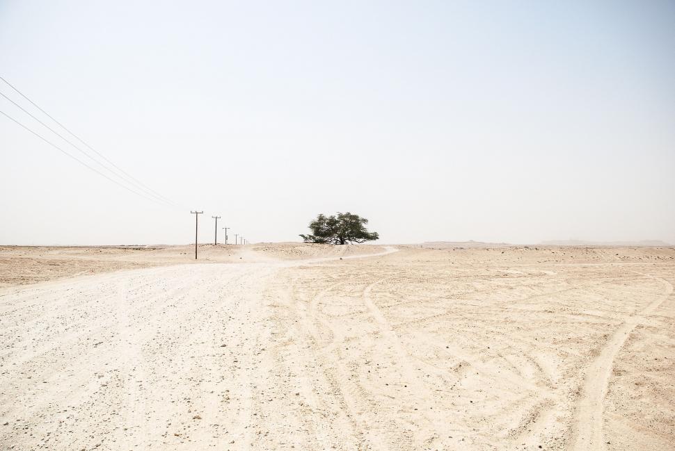 Free Stock Photo of Desolate desert landscape with a lone tree ...