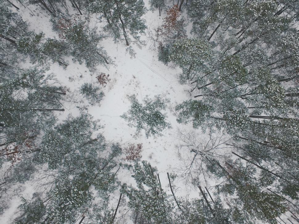 Free Stock Photo of Aerial view of snow-covered tree landscape ...
