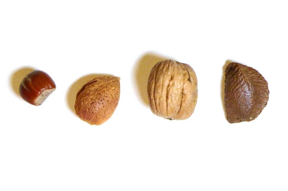 Free Stock Photo of Nuts In Shells | Download Free Images and Free ...
