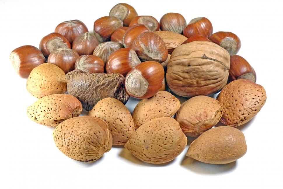 Free Stock Photo of Mixed Nuts | Download Free Images and Free ...