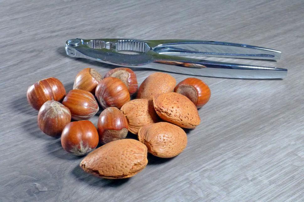 Free Stock Photo of Hazelnuts and Almonds | Download Free Images and ...