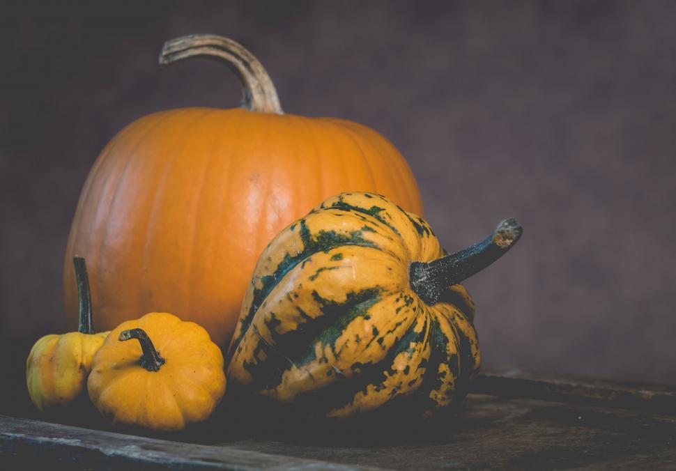 Free Stock Photo of Assortment of pumpkins on rustic wooden surface ...
