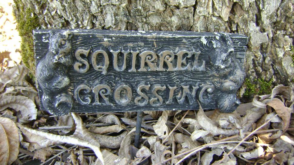 Free Stock Photo of Sign Sitting in the Grass | Download Free Images ...