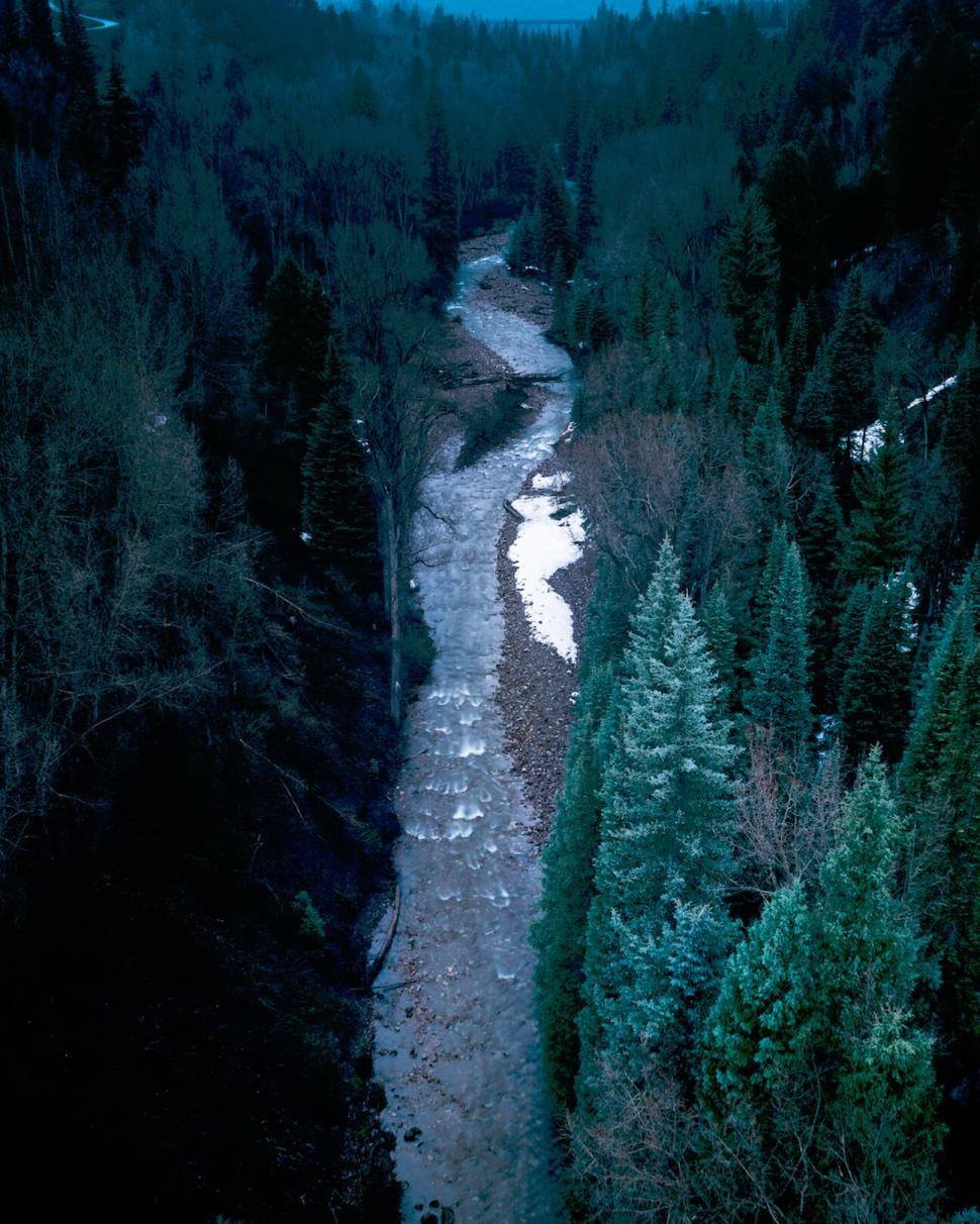 Free Stock Photo of Dark river flowing through forest | Download Free ...