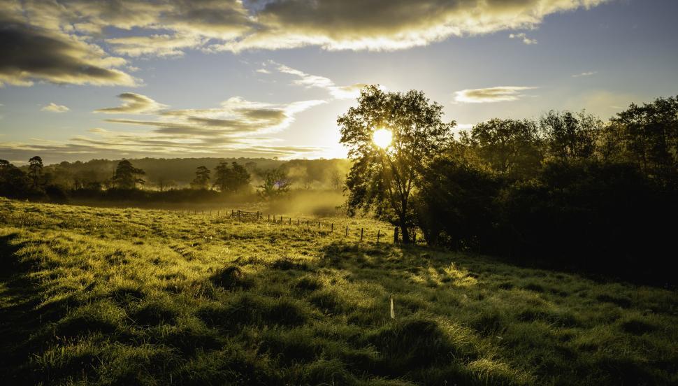 Free Stock Photo of Sunrise over misty green pasture | Download Free ...