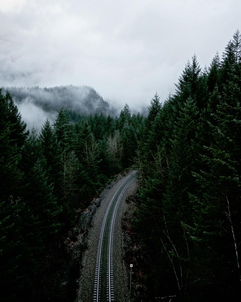 Free Stock Photo of Railroad tracks winding through misty forest ...