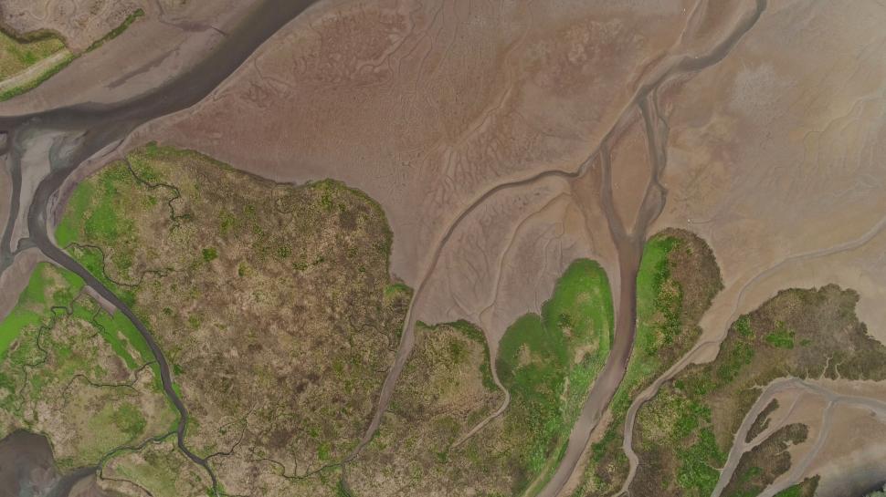 Free Stock Photo of Aerial view of a tidal landscape with greenery ...