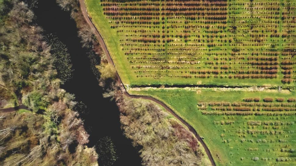 Free Stock Photo of Aerial view of river and orchard rows | Download ...