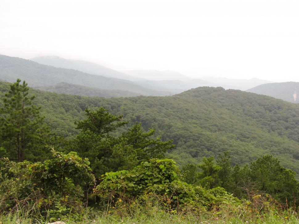 Free Stock Photo of Misty mountain view with foreground foliage ...