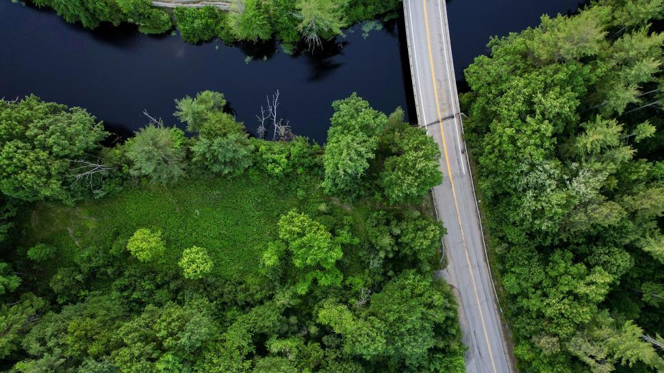 Free Stock Photo of Overhead view of bridge over forest | Download Free ...