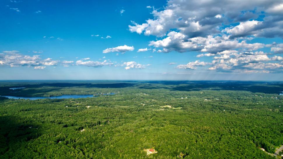 Free Stock Photo of Expansive green forest from an aerial view ...