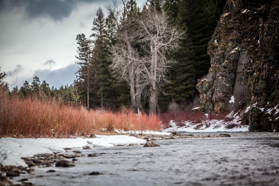 Free Stock Photo of Riverside landscape with snow and red bushes ...
