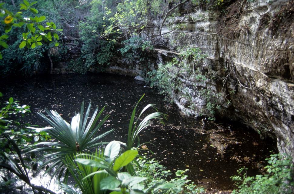 Free Stock Photo of Murky pond | Download Free Images and Free ...