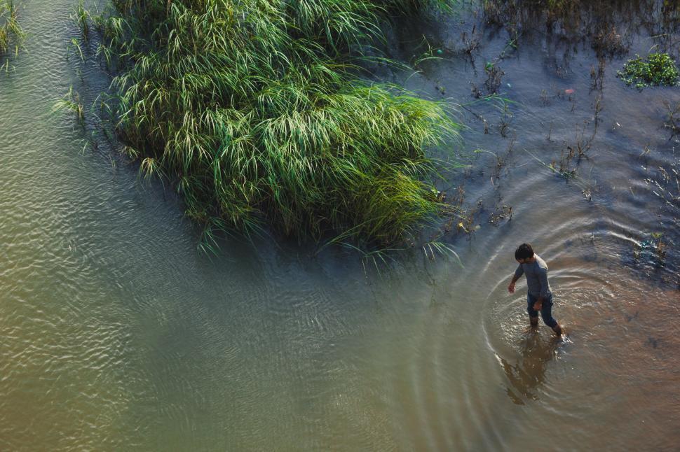 Free Stock Photo of Person Wading in Water Amidst Greenery | Download ...