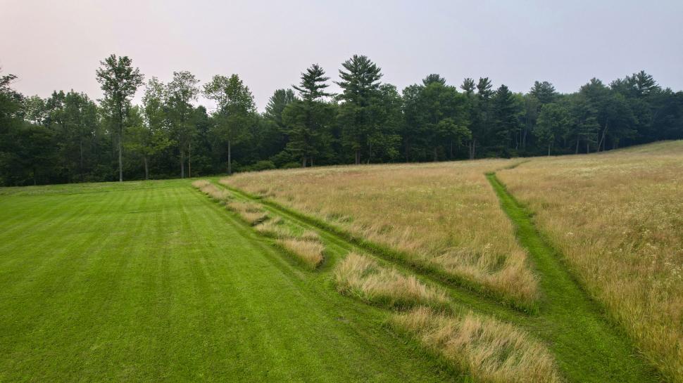 Free Stock Photo of Split landscape of green field and dry grassy path ...