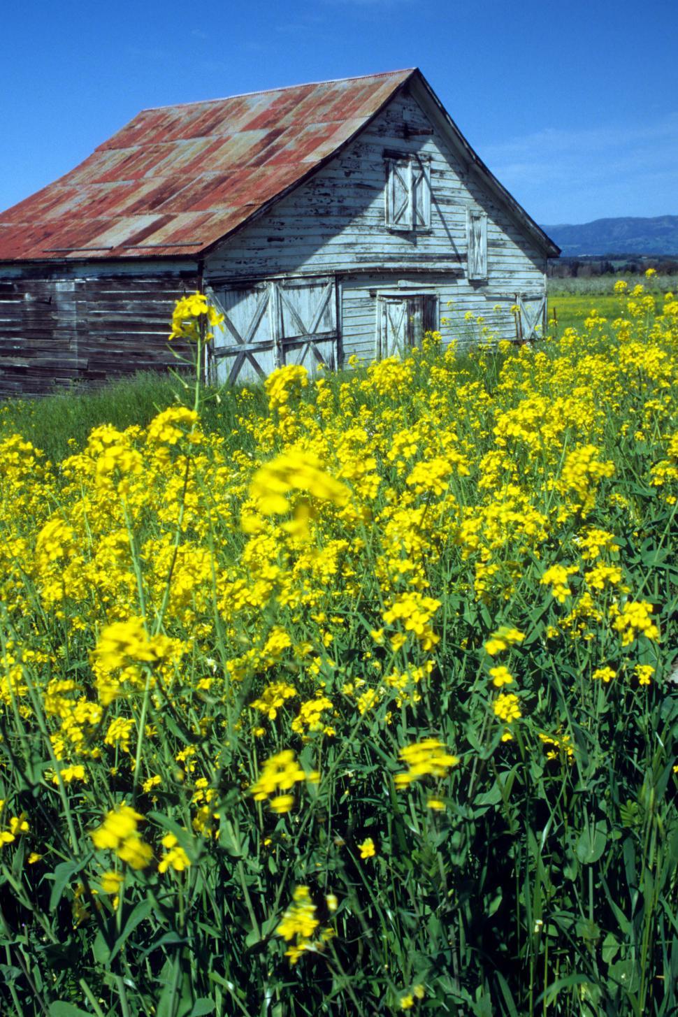 Free Stock Photo of Old barn | Download Free Images and Free Illustrations