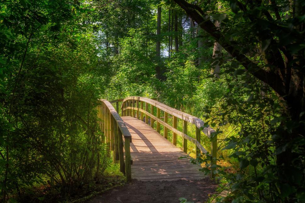 Free Stock Photo of Wooden bridge in nature surrounded by green trees ...