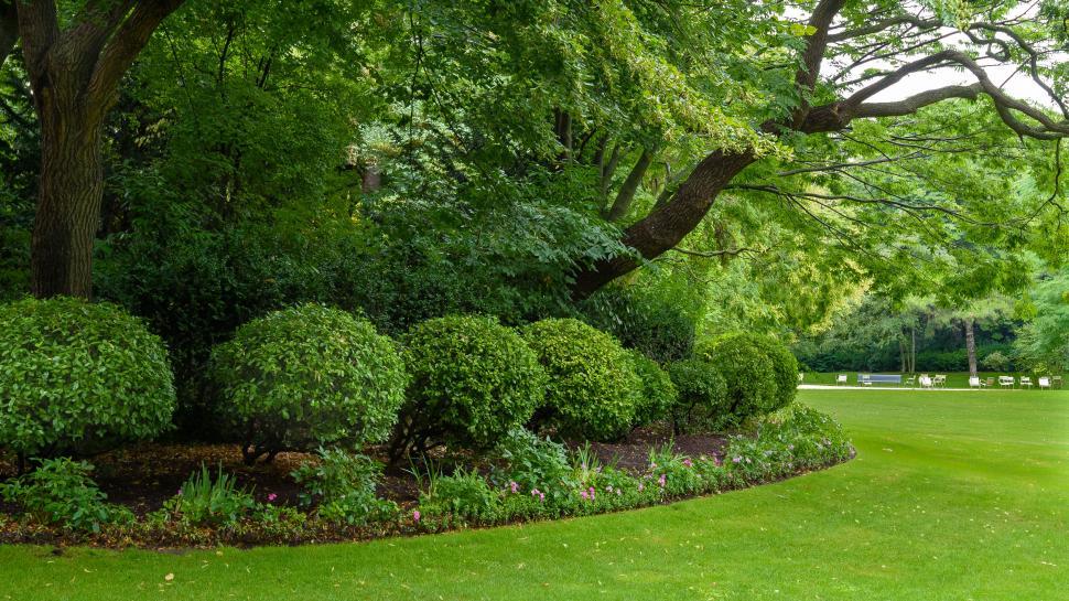 Free Stock Photo of Beautifully landscaped garden with green trees ...