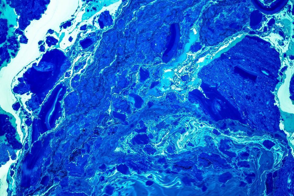 Free Stock Photo of Blue abstract vivid texture with marbled patterns ...
