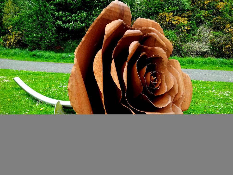 Free Stock Photo of Gigantic metal rose sculpture on lush green grass ...