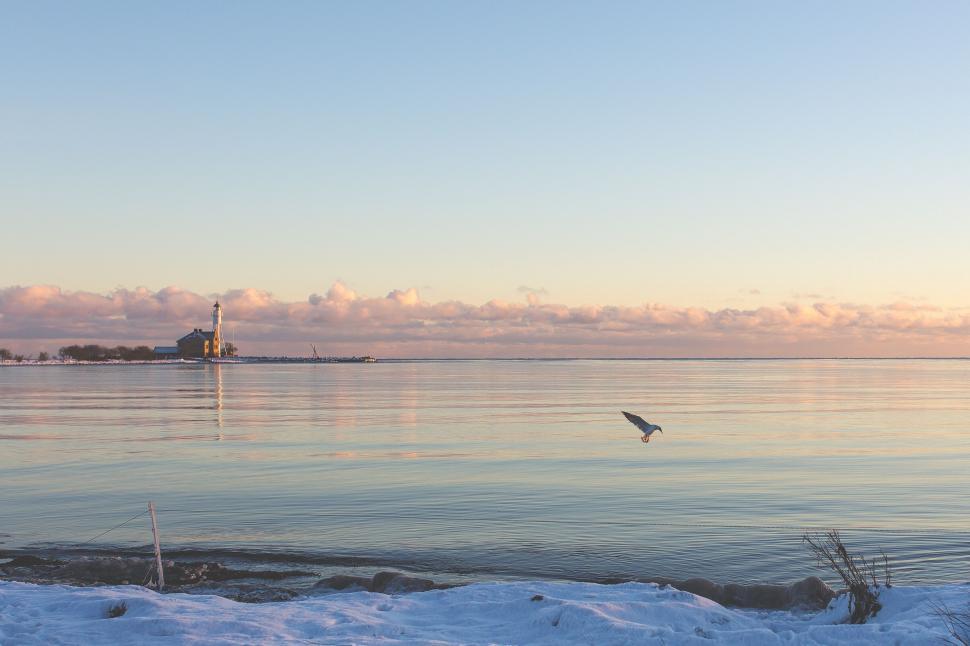 Free Stock Photo of Calm seascape with a lone bird flying near the ...