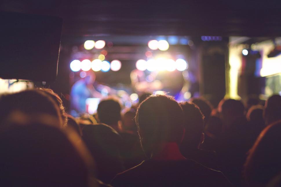 Free Stock Photo of Audience immersed in a live concert performance ...