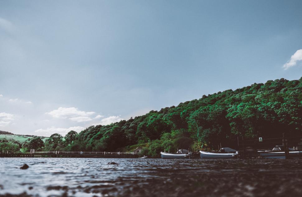 Free Stock Photo of Idyllic lakeside scene with boats and lush green ...