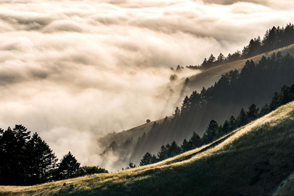 Free Stock Photo of Fog-ridden forested mountain slope, rays of sun ...
