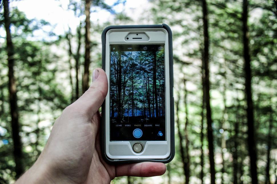 Free Stock Photo of Hand holding smartphone capturing forest scenery ...