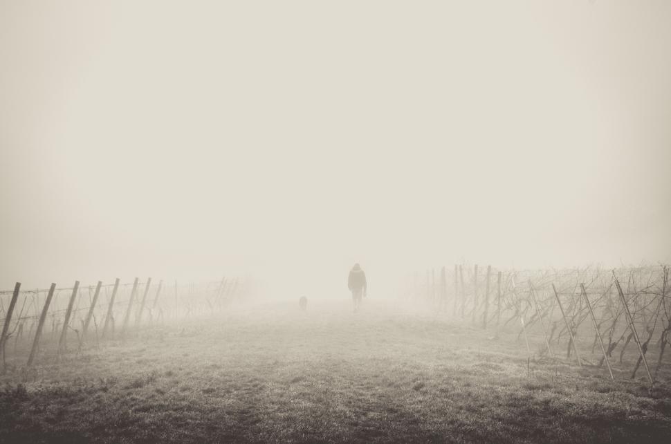Free Stock Photo of A person walking in fog, vanishing into the ...