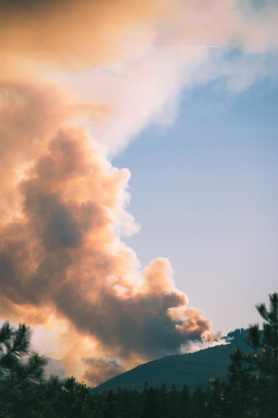Free Stock Photo of Massive column of smoke rising from a forest ...