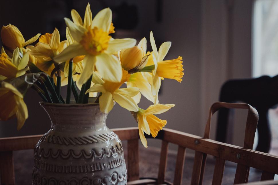 Free Stock Photo of Bouquet of yellow daffodils arranged in ornate ...