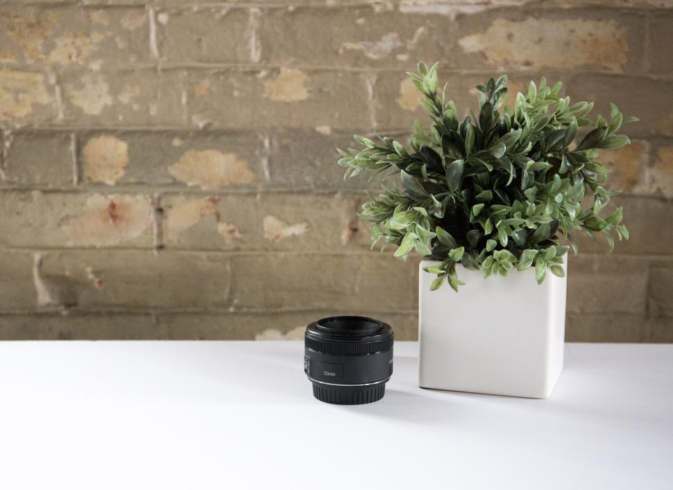 Free Stock Photo of Camera lens and potted plant on white table against ...