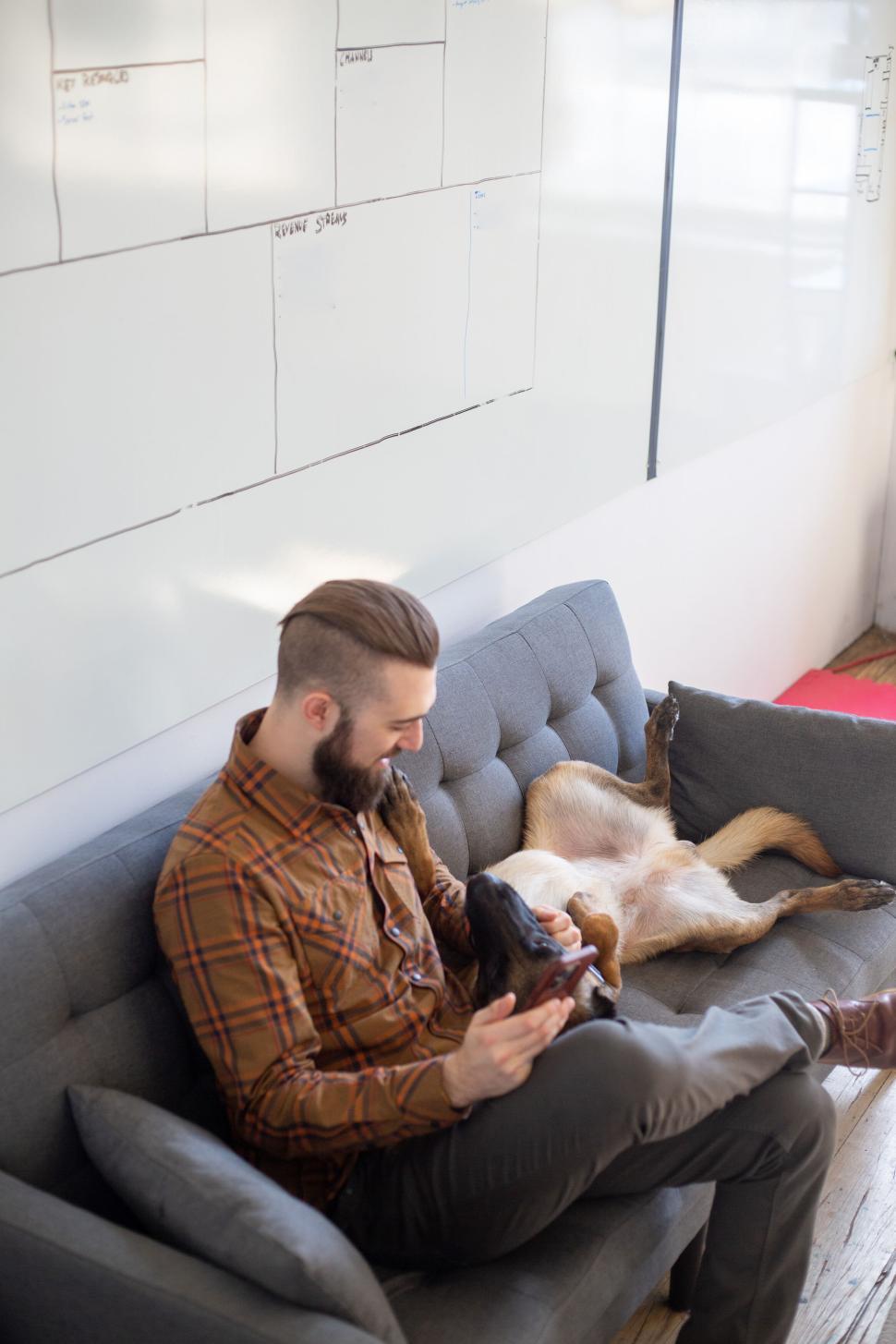 Free Stock Photo of Man relaxing with dog on sofa checking phone in a ...