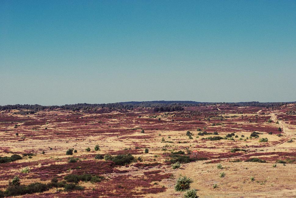 Barren Land