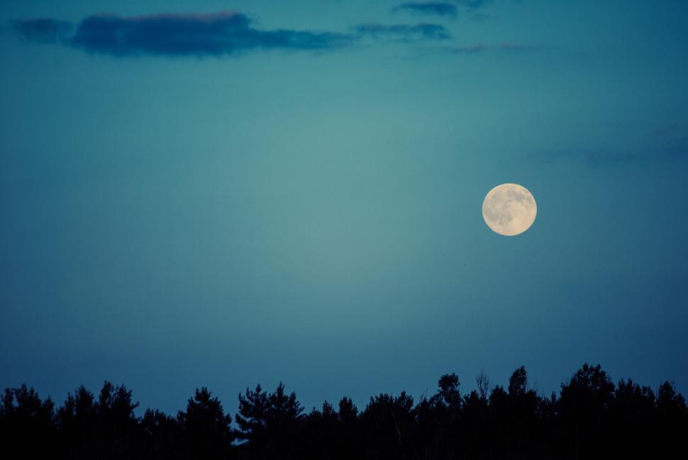 Free Stock Photo of Full moon rising above the trees against a twilight ...