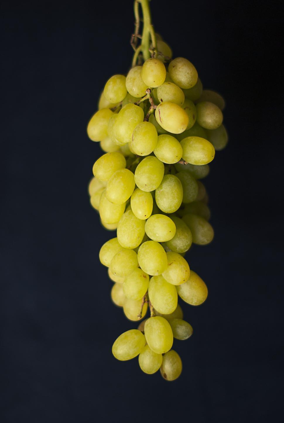 Free Stock Photo of Bunch of green grapes against dark background in ...