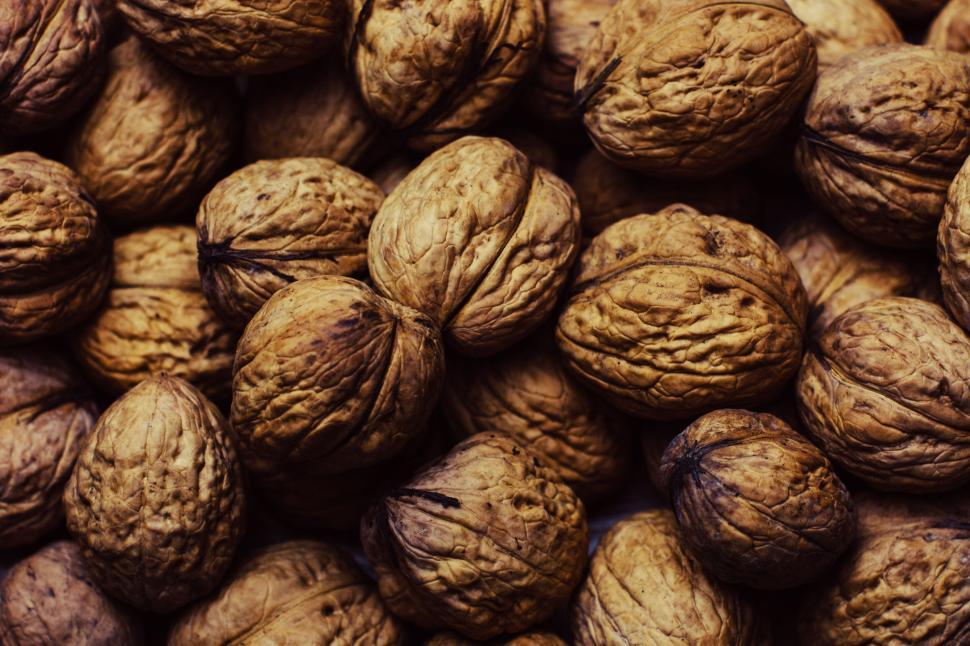 Free Stock Photo of Pile of walnuts in their shells showcasing natural ...