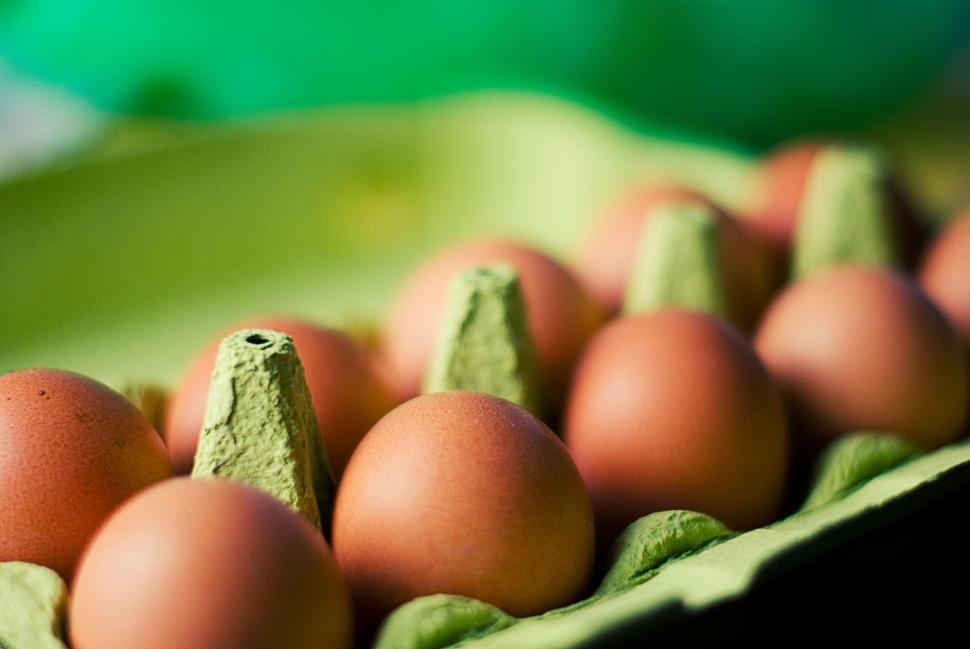 Free Stock Photo of Close-up of a carton holding twelve brown eggs in ...