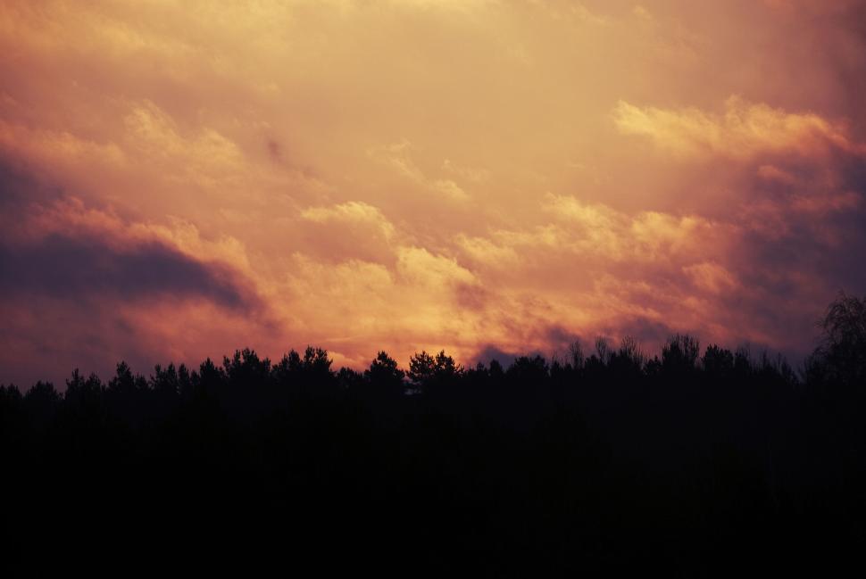 Free Stock Photo of Sunset over a forest with silhouetted tree line and ...
