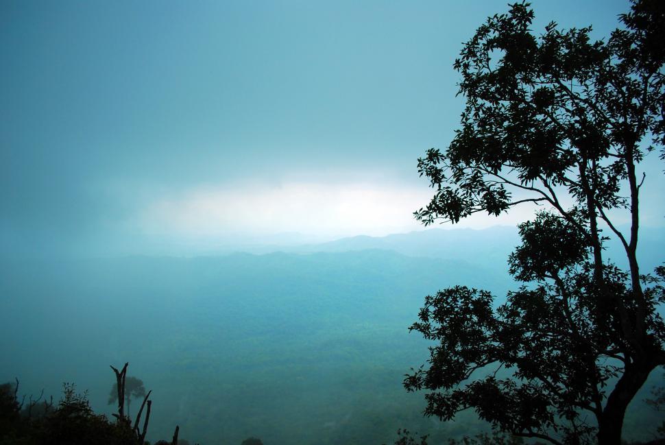 Free Stock Photo of Silhouette Tree | Download Free Images and Free ...